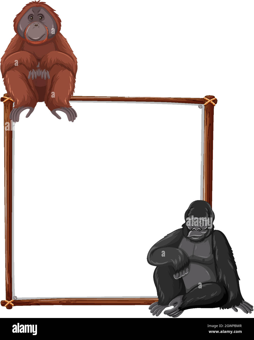 Empty banner with orangutan and gorilla on white background Stock ...