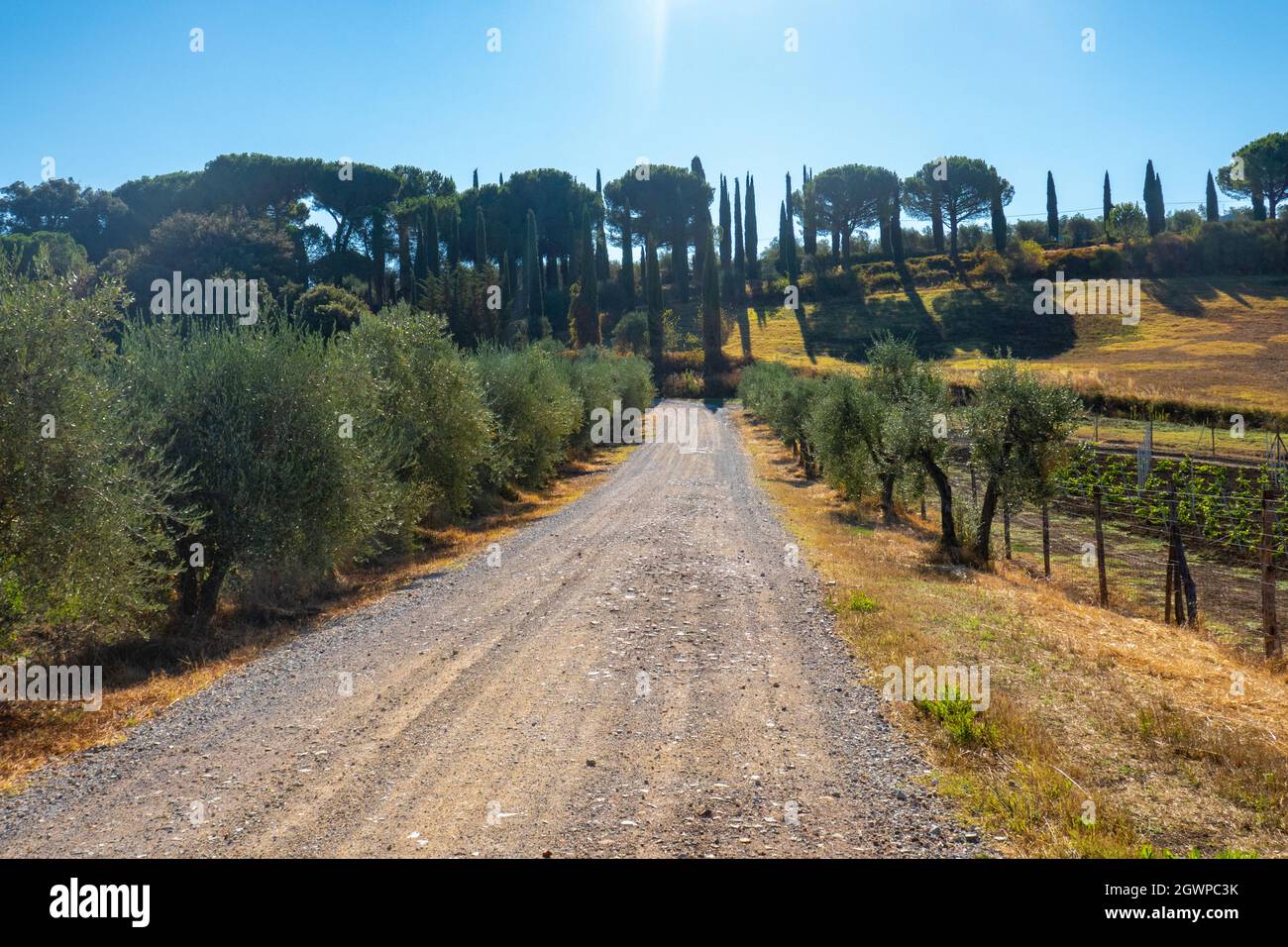 Landscape along Via Francigena, Tuscany Stock Photo - Alamy
