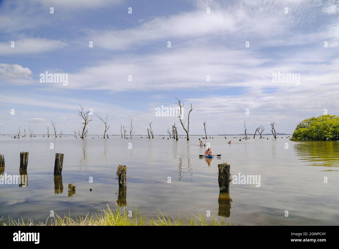 Children kayaking in Summer at Kow Swamp Victoria Australia Stock Photo ...