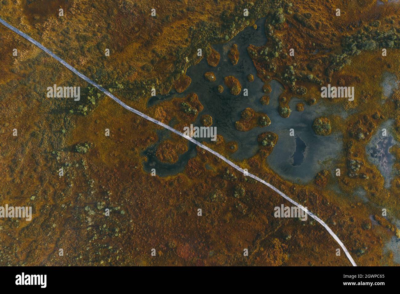 Yelnya High Resolution Stock Photography and Images - Alamy