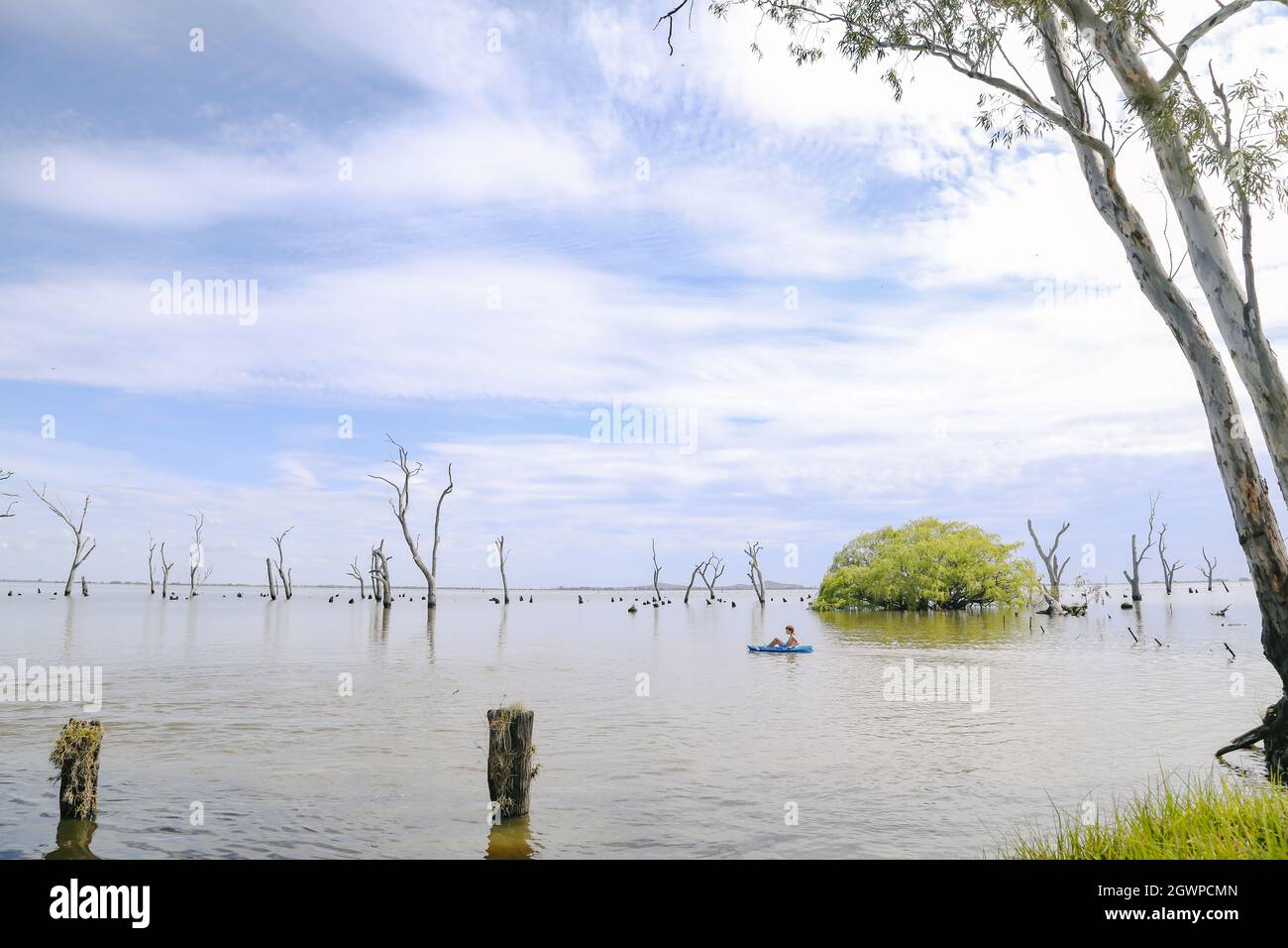 Kow swamp victoria australia hi-res stock photography and images - Alamy