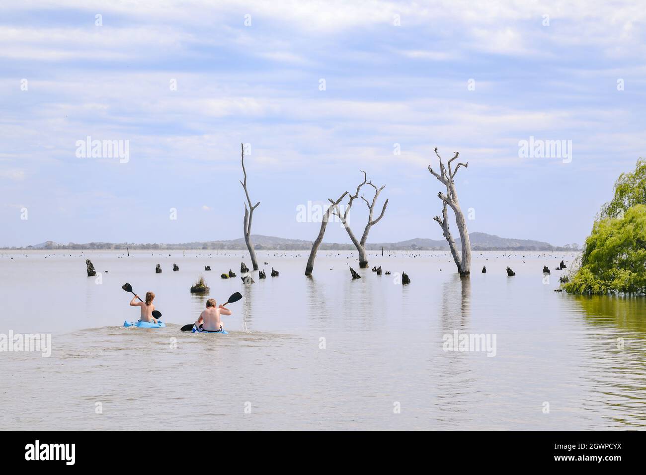Kow swamp victoria australia hi-res stock photography and images - Alamy