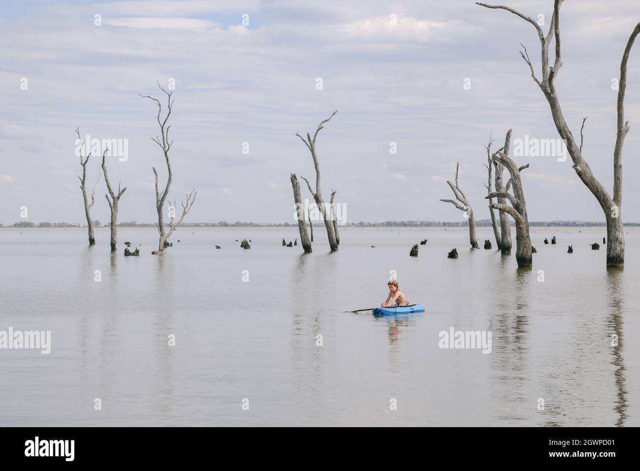 Kow swamp victoria australia hi-res stock photography and images - Alamy