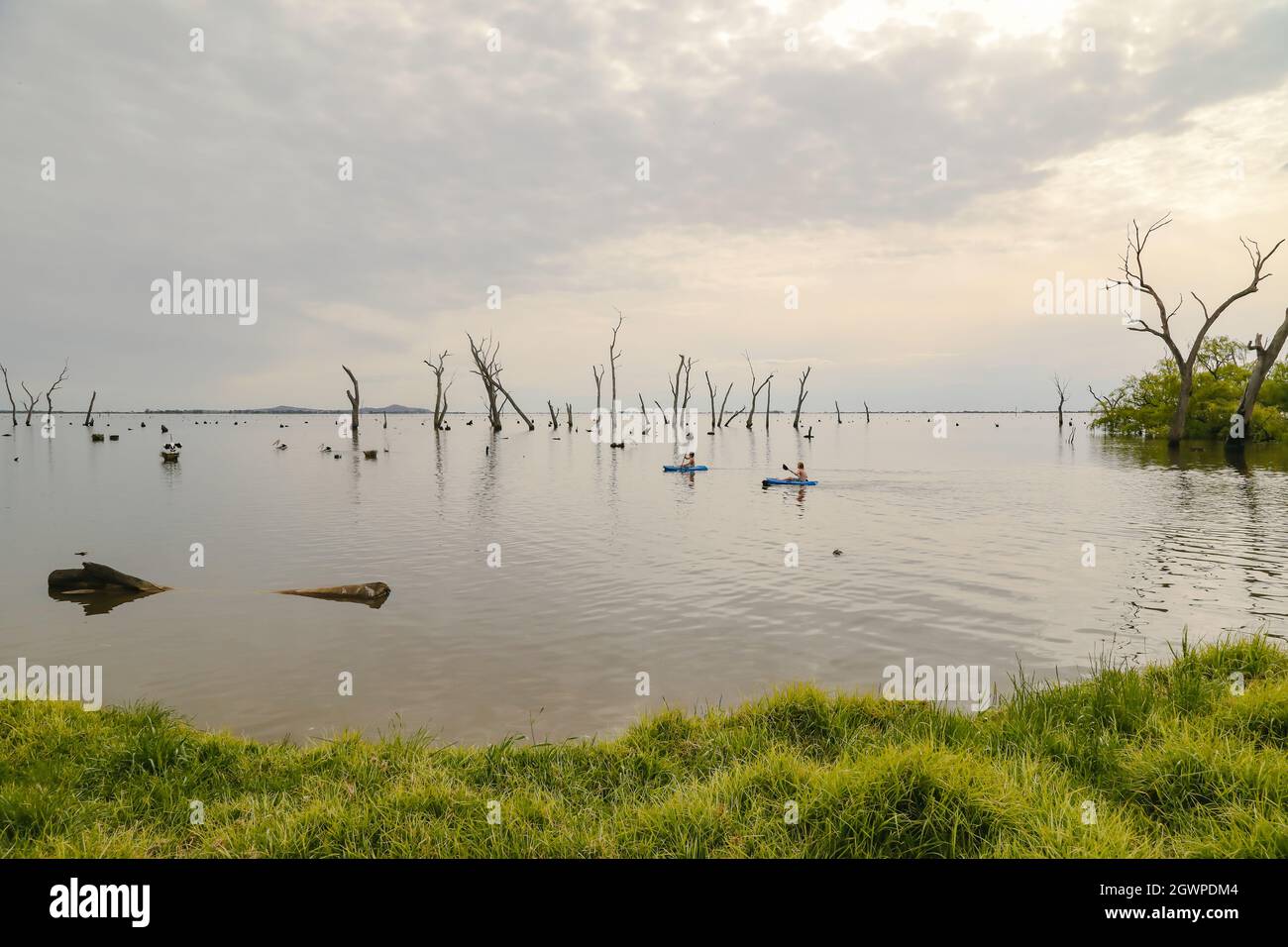 Kow swamp victoria australia hi-res stock photography and images - Alamy