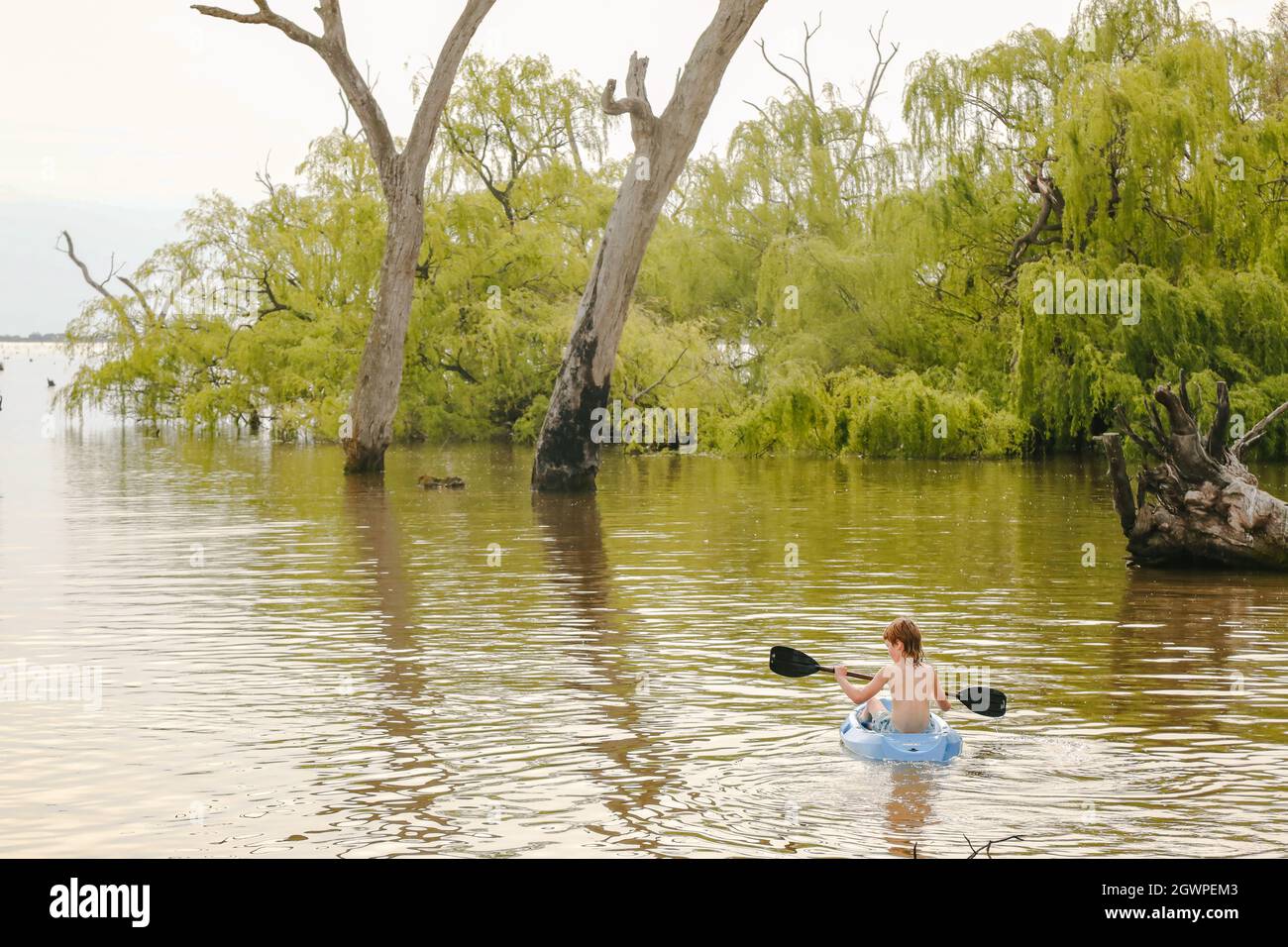 Kow swamp victoria australia hi-res stock photography and images - Alamy