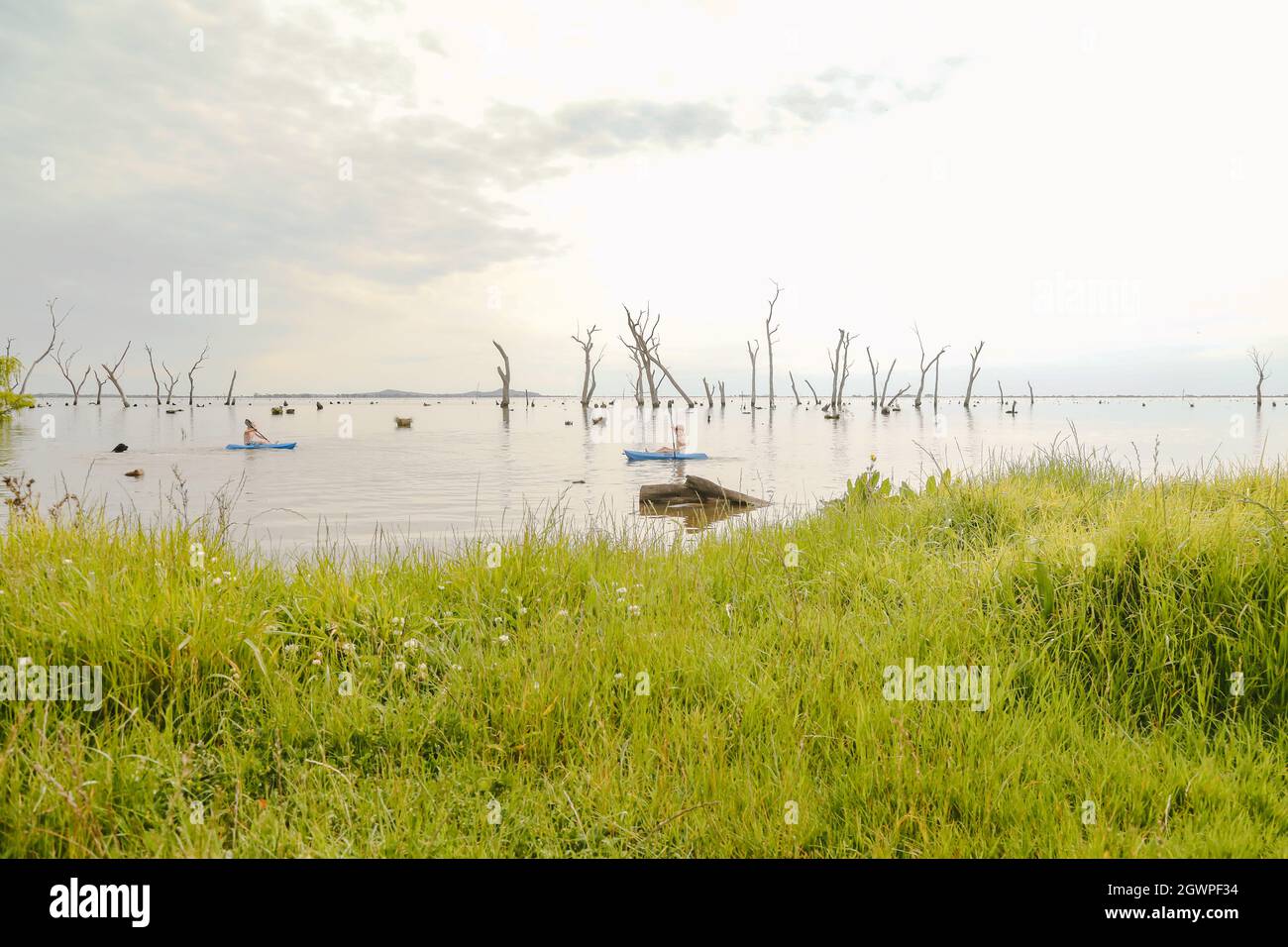 Kow swamp australia hi-res stock photography and images - Alamy