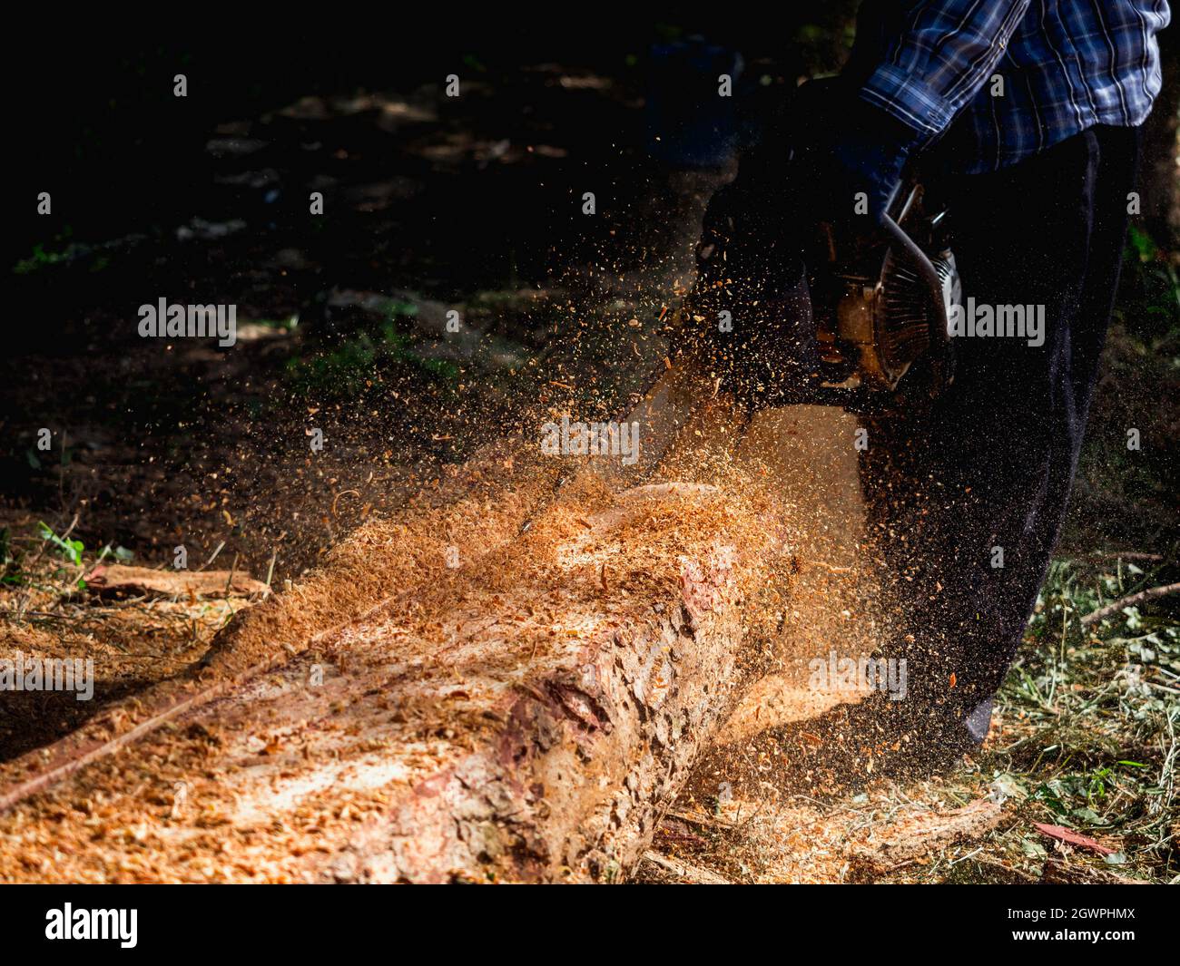 Sawdust Flying Around High Resolution Stock Photography and Images - Alamy