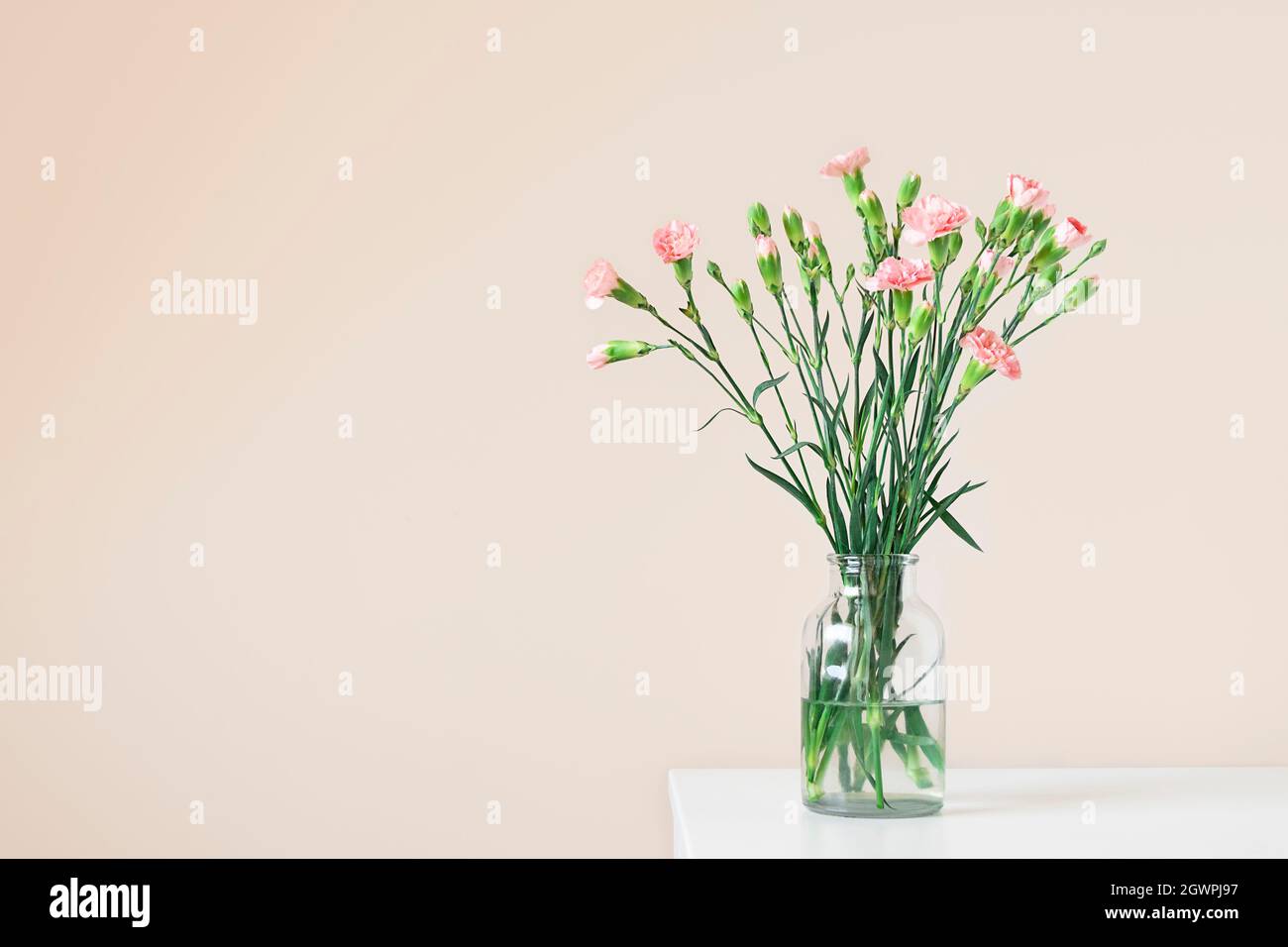 Fresh bouquet of Carnation flowers in a glass vase on white table on ...