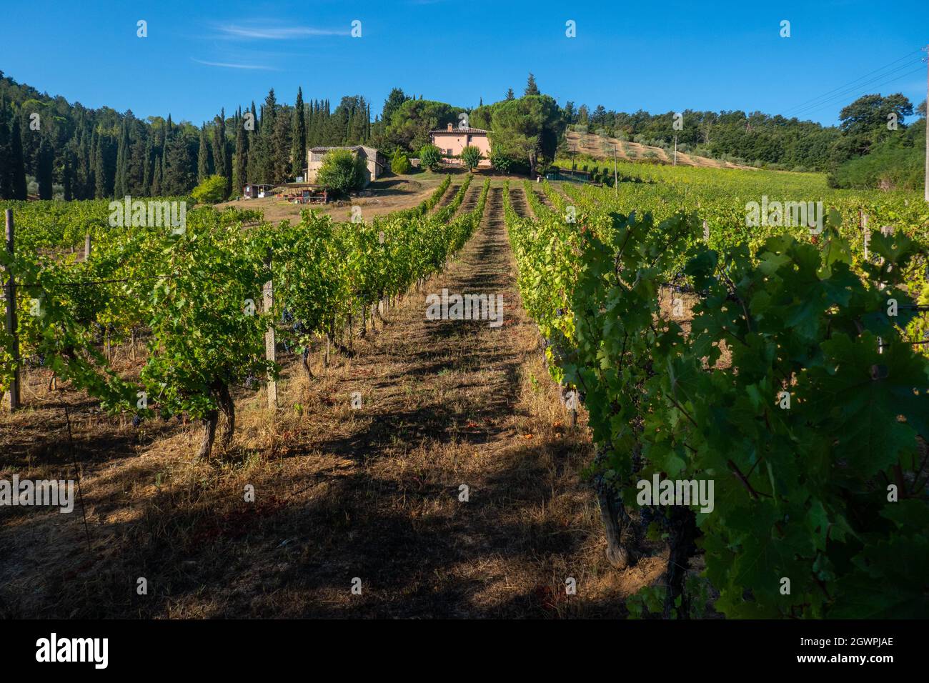 landscapes along via Francigena, Tuscany, Italy Stock Photo - Alamy