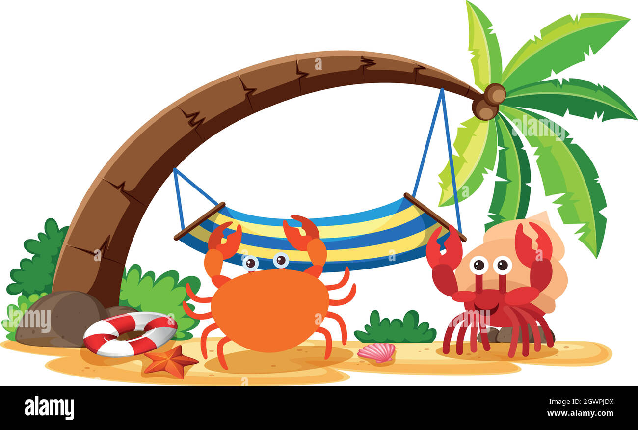 Crab and hermit crab on the beach Stock Vector Image & Art - Alamy
