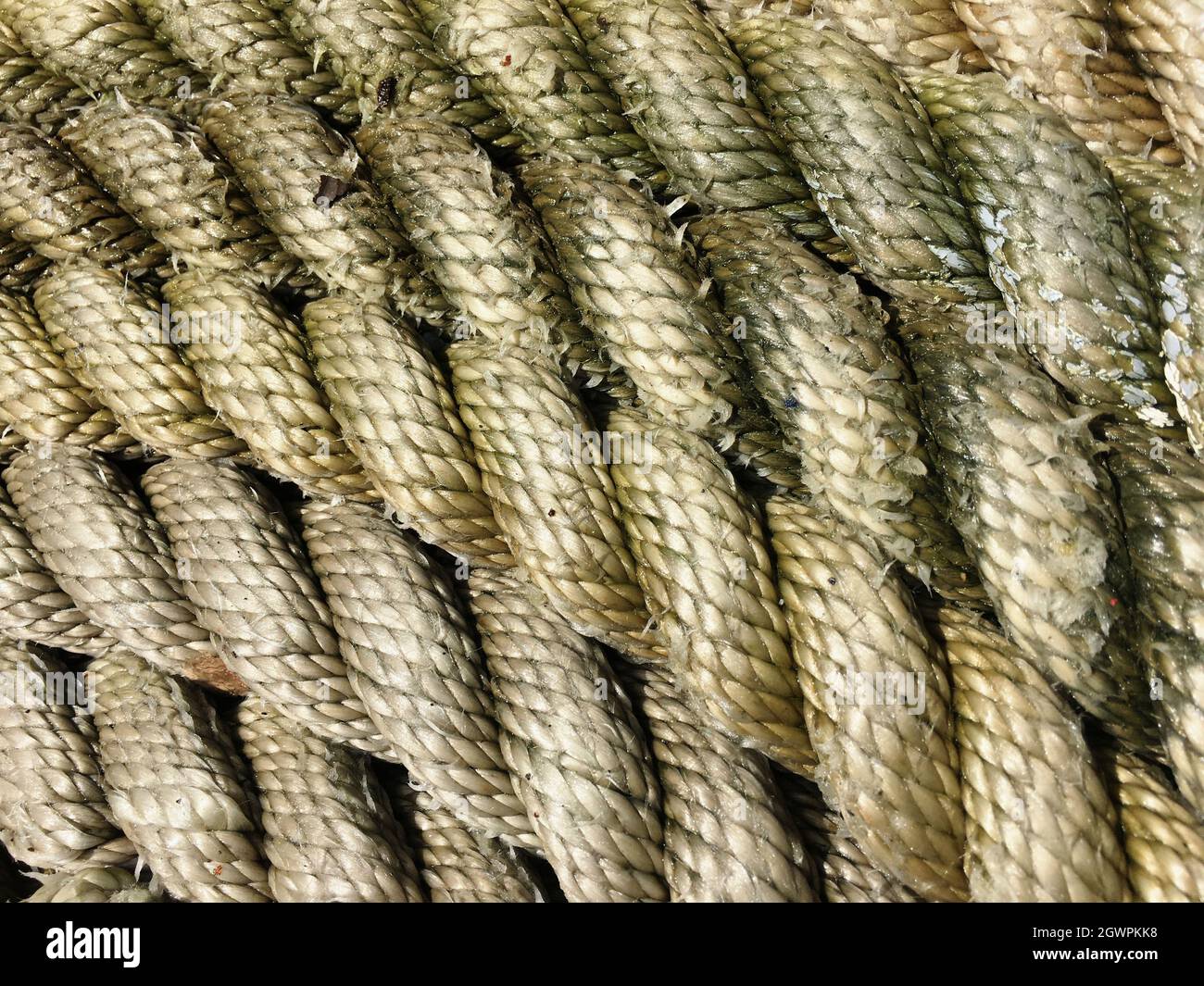 Close up shot frayed rope hi-res stock photography and images - Alamy