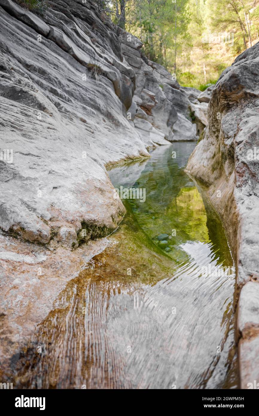 Calm watercourse that flows in the rocky bed reflecting the forest in ...