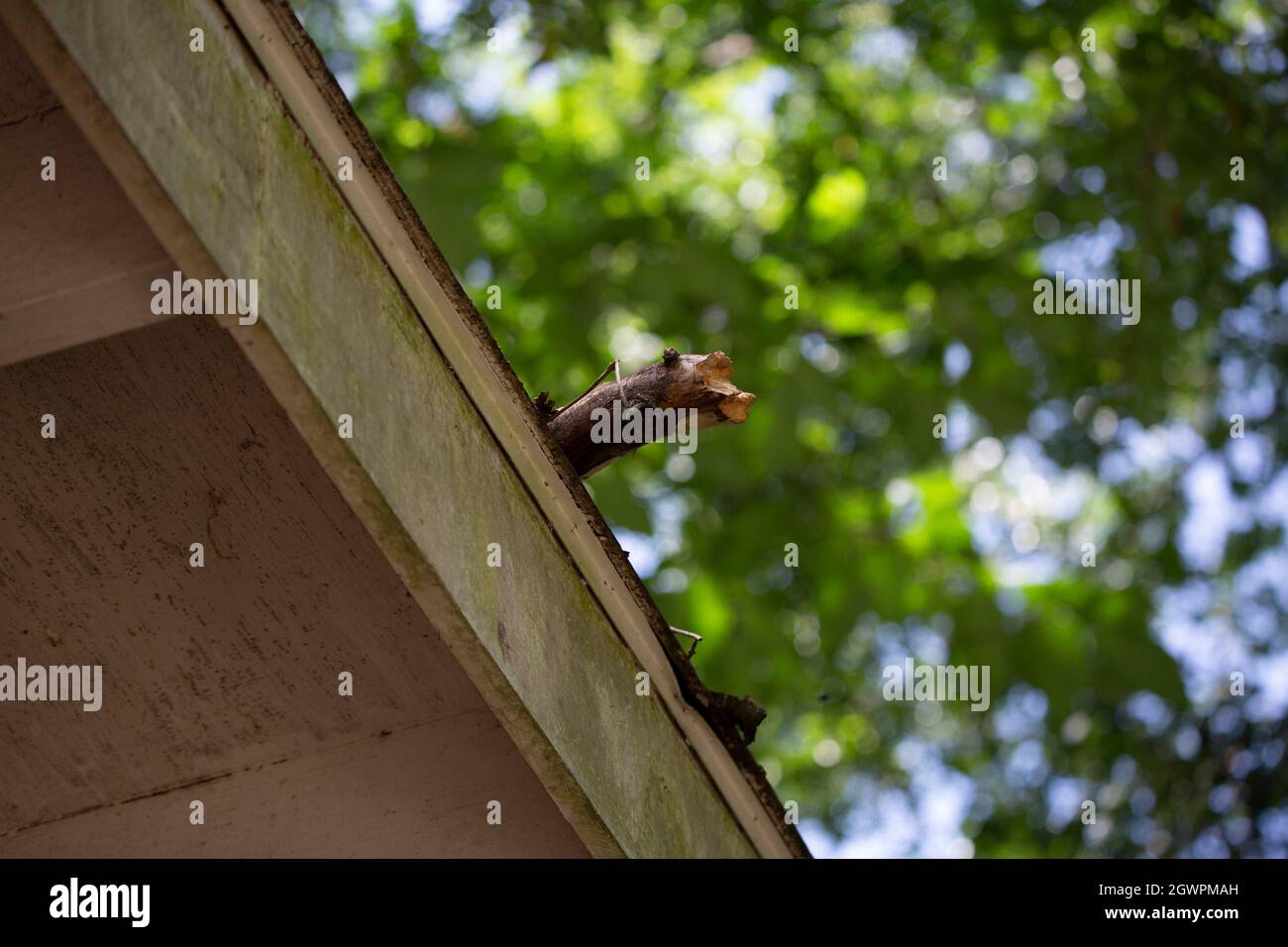 Hanging off edge of building hi-res stock photography and images - Alamy