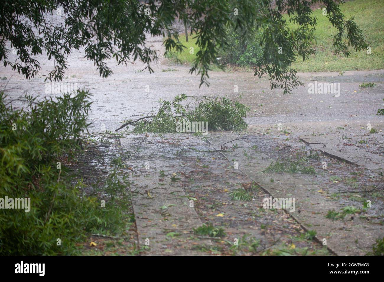 Fallen limb at the edge of a driveway during a storm Stock Photo - Alamy