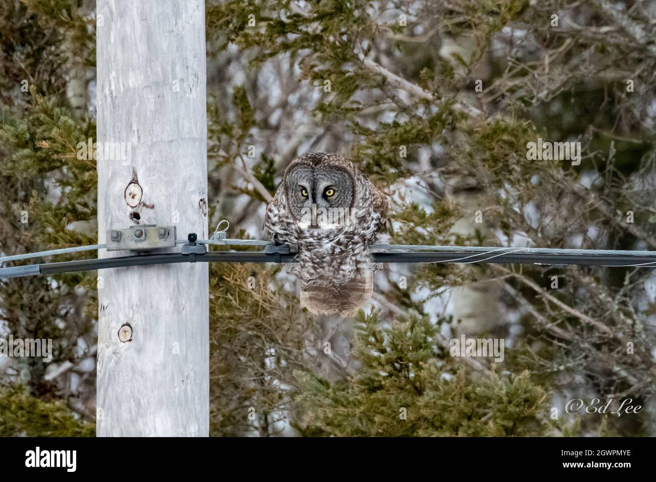 Hunting series hi-res stock photography and images - Alamy