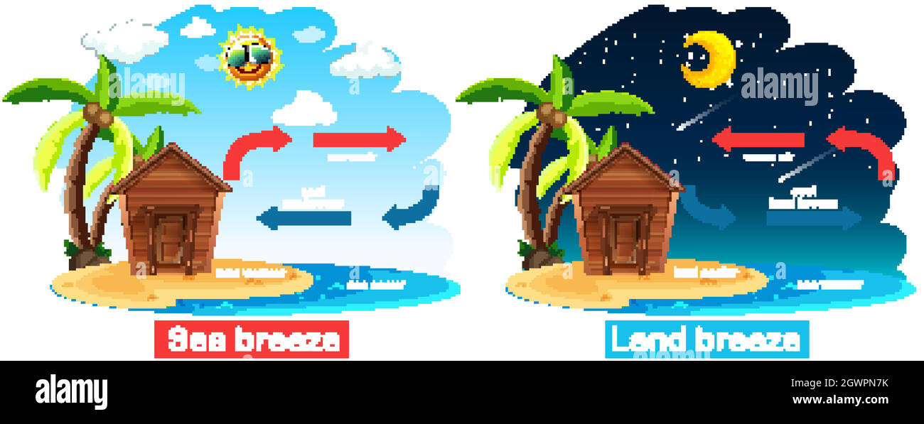 Diagram showing circulation of sea and land breeze Stock Vector Image ...