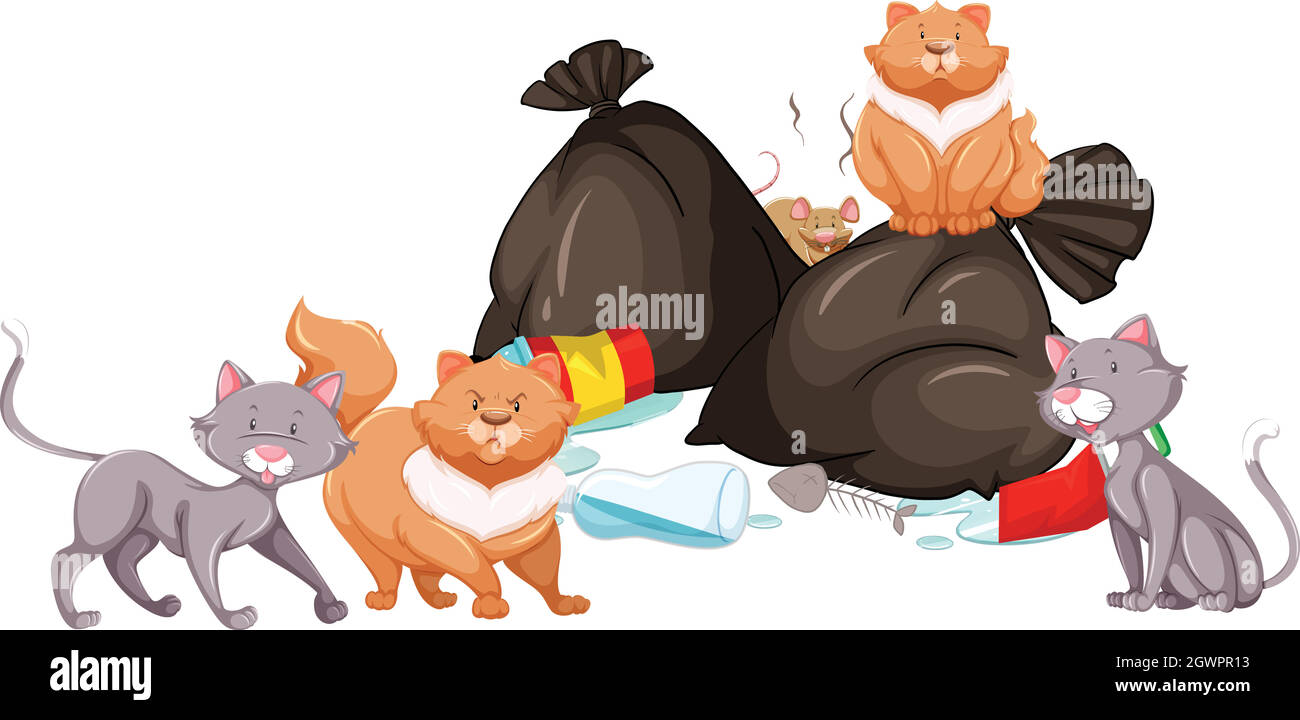 Cats and rat around the garbage pile Stock Vector Image & Art - Alamy