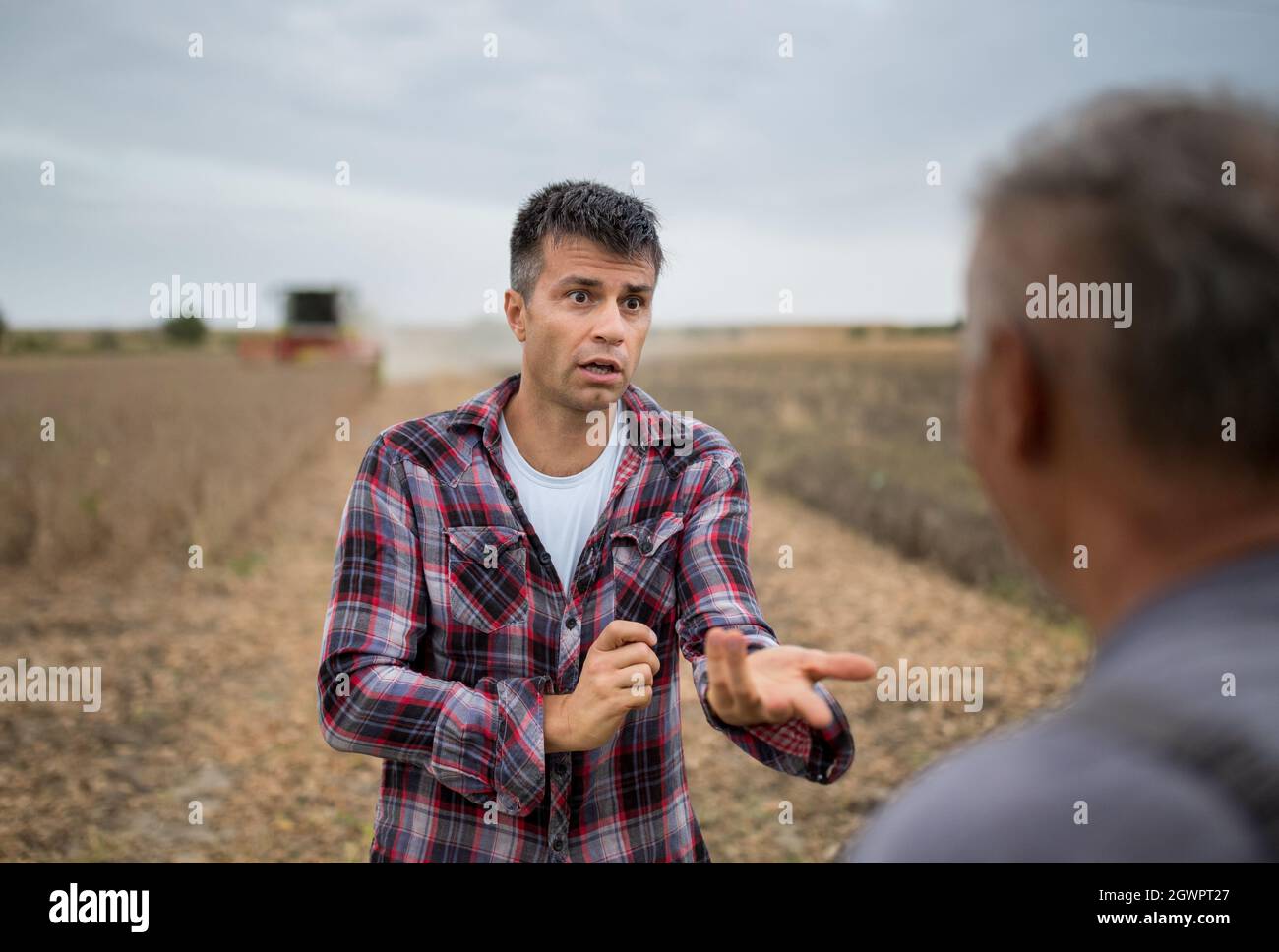 Two farmers standing in soyfield during harvest and arguing Stock Photo ...