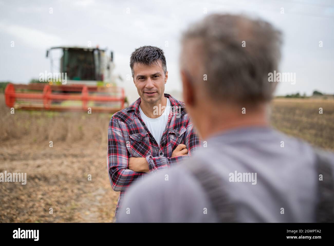 Two farmers standing in soyfield during harvest and talking. Younger ...