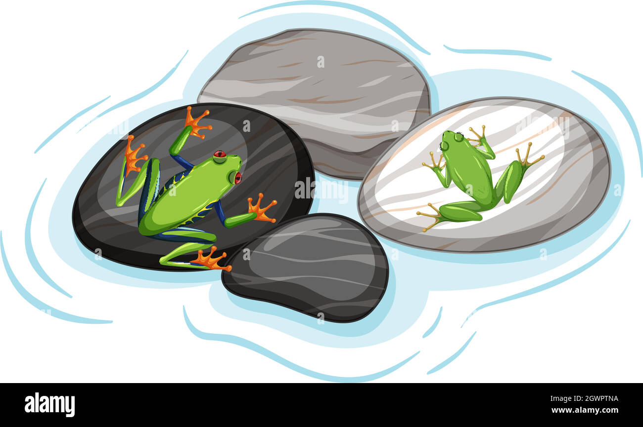 Frogs top view Stock Vector Images - Alamy