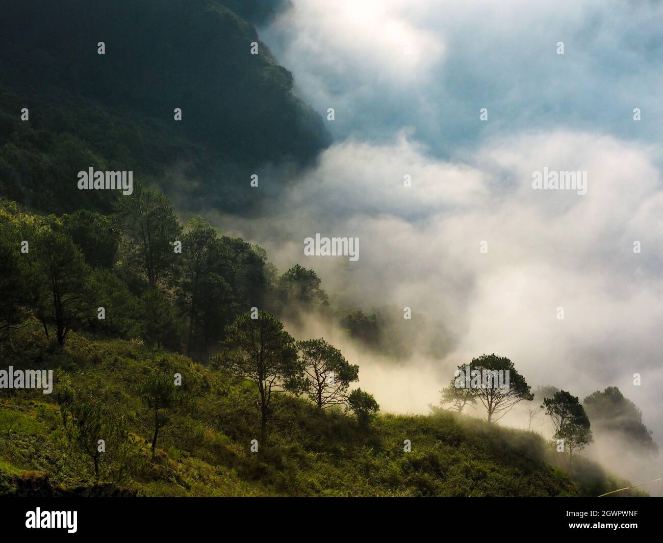 Earth meets sky hi-res stock photography and images - Alamy