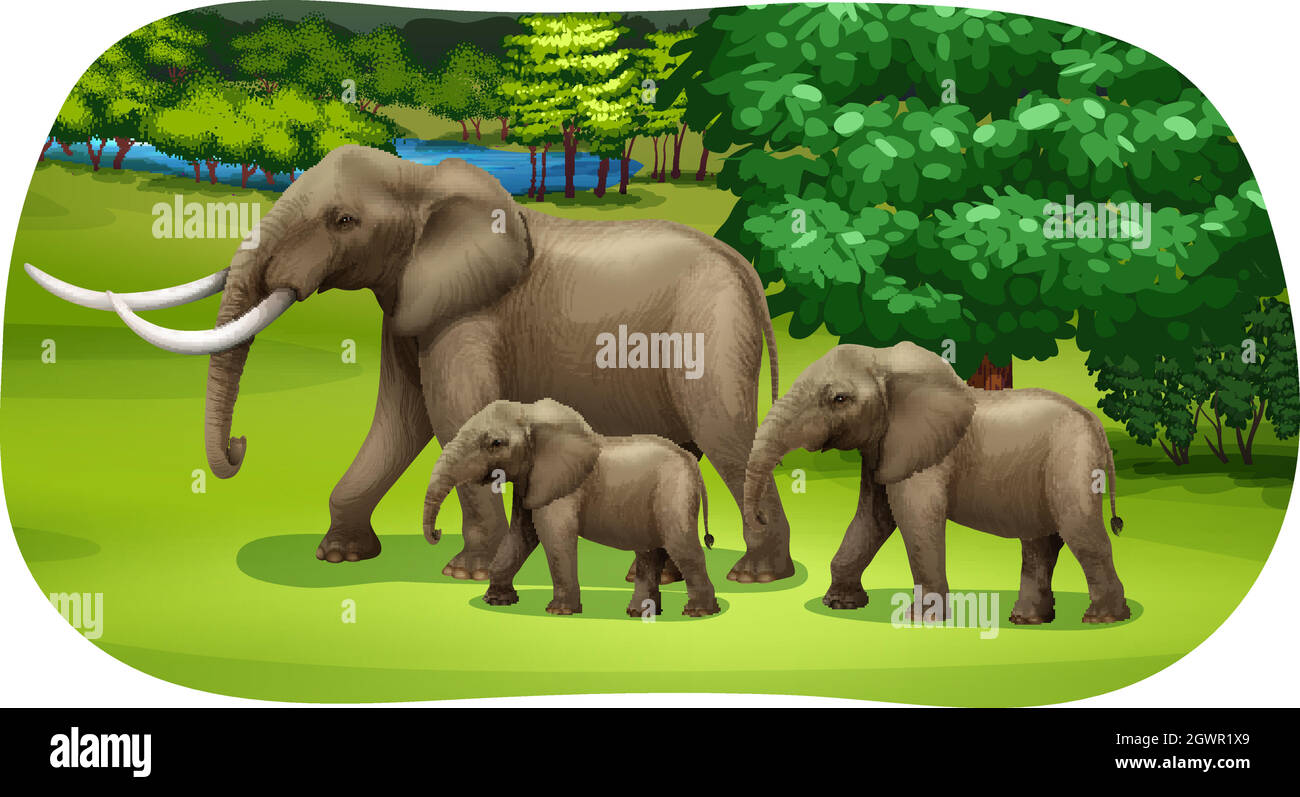 Elephant family group cartoon hi-res stock photography and images - Alamy