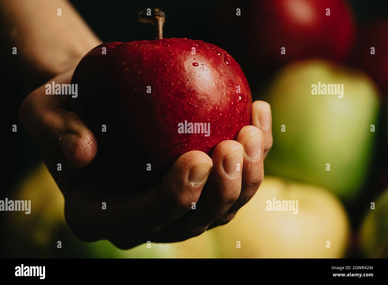 Hand gripping apple hi-res stock photography and images - Alamy