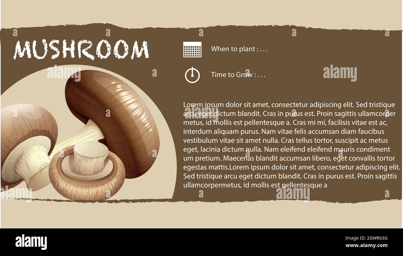 Infographic design with fresh mushroom Stock Vector Image & Art - Alamy