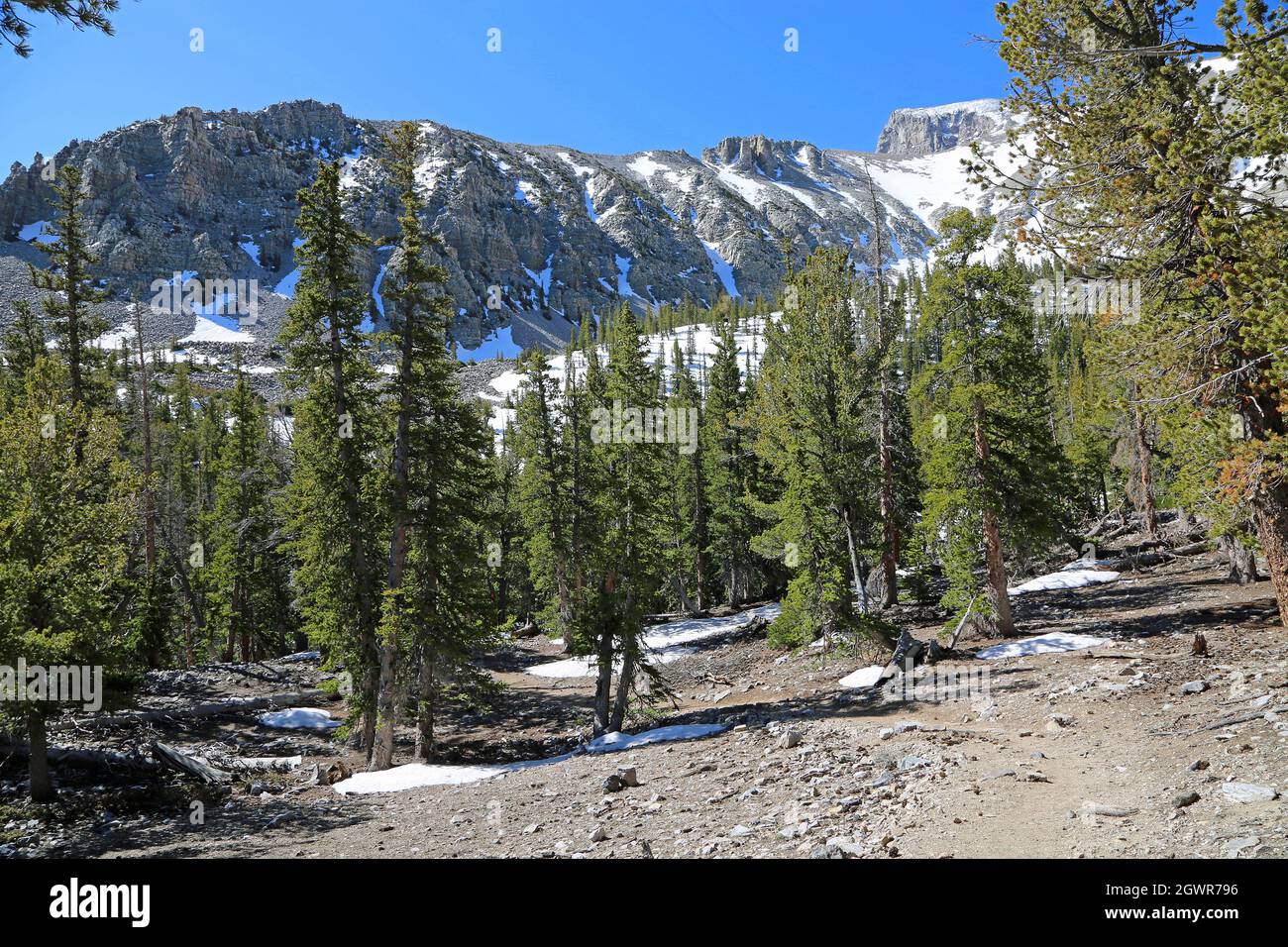 The trail with the view at Snake Range - Great Basin National Park ...