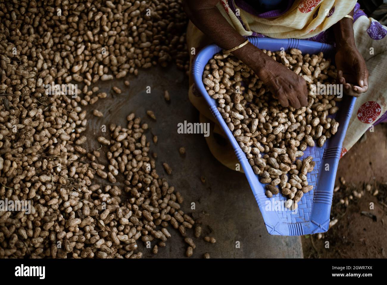 Indian groundnuts hi-res stock photography and images - Alamy