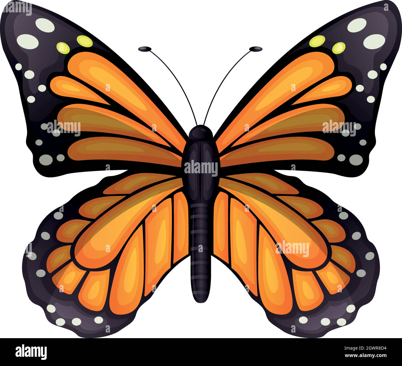 Lepidoptera danaus Stock Vector Images - Alamy