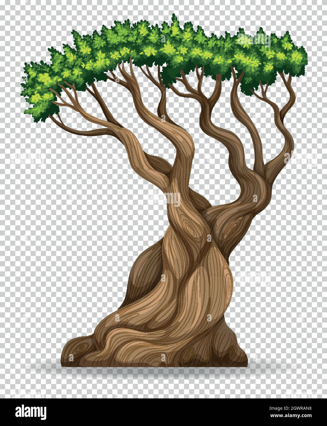 Big tree on transparent background Stock Vector Image & Art - Alamy