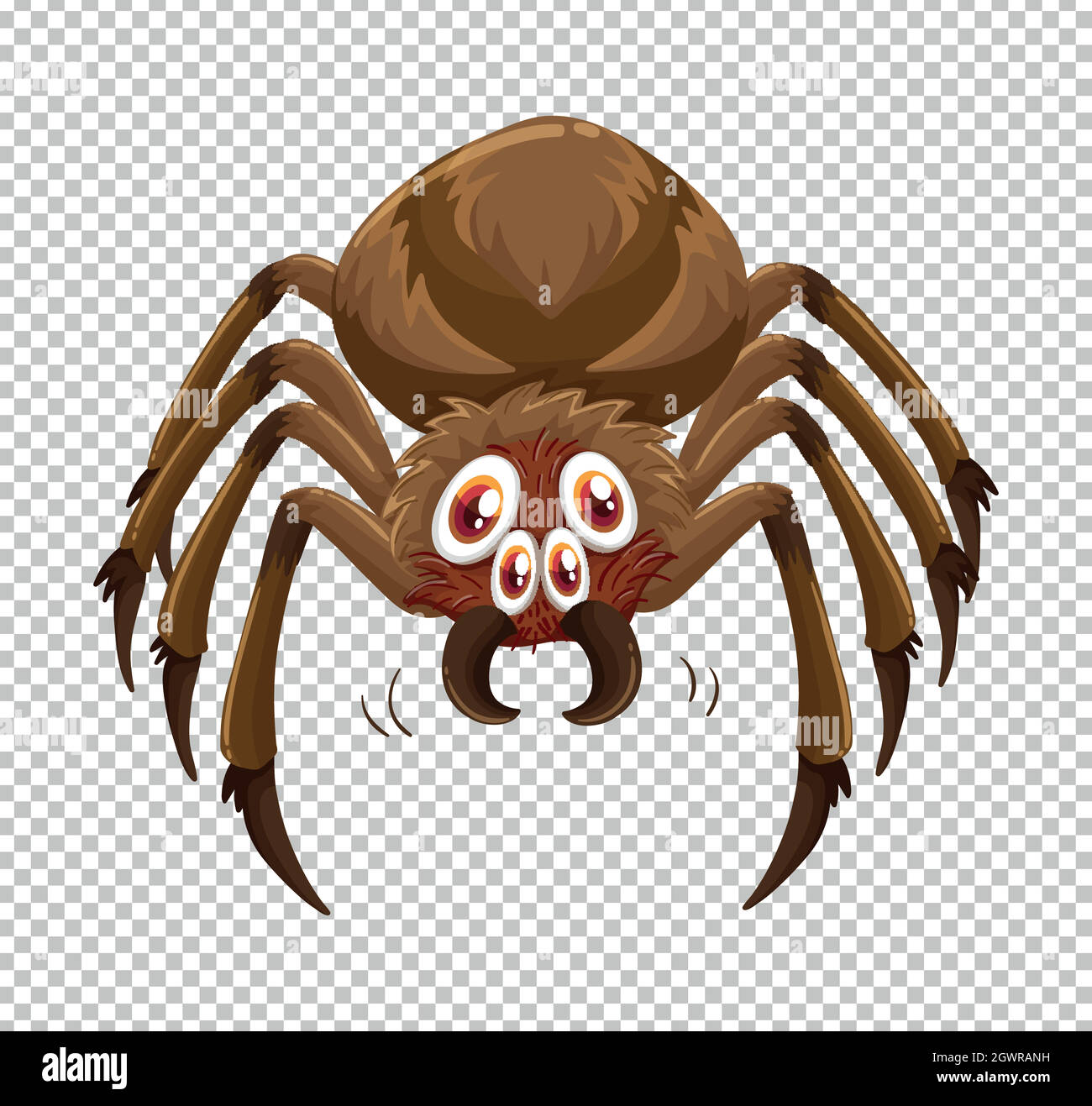 Wild spider on transparent background Stock Vector Image & Art - Alamy