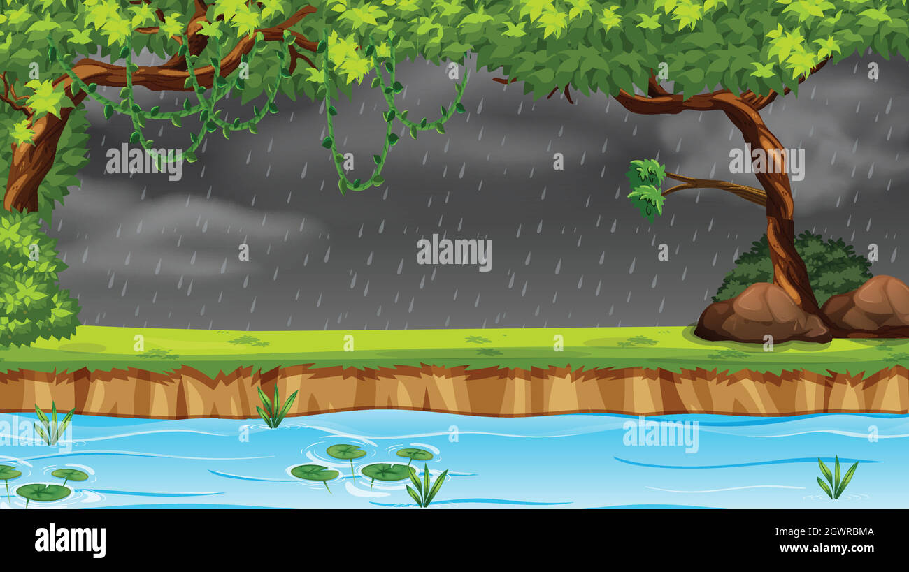 Raining in the forest Stock Vector Image & Art - Alamy