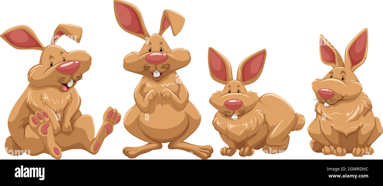 Four rabbits with brown fur Stock Vector Image & Art - Alamy