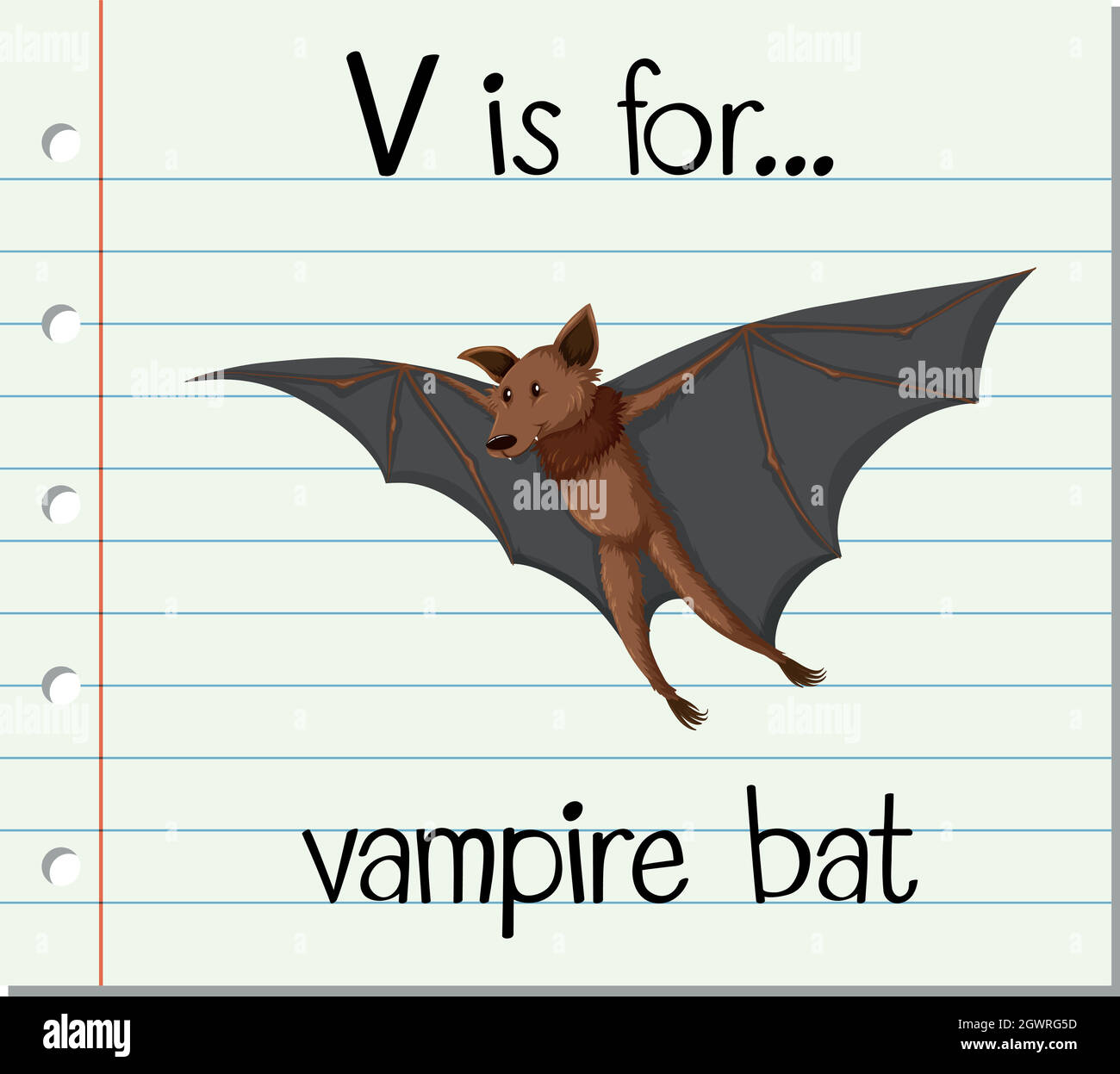 Flashcard letter V is for vampire bat Stock Vector Image & Art - Alamy