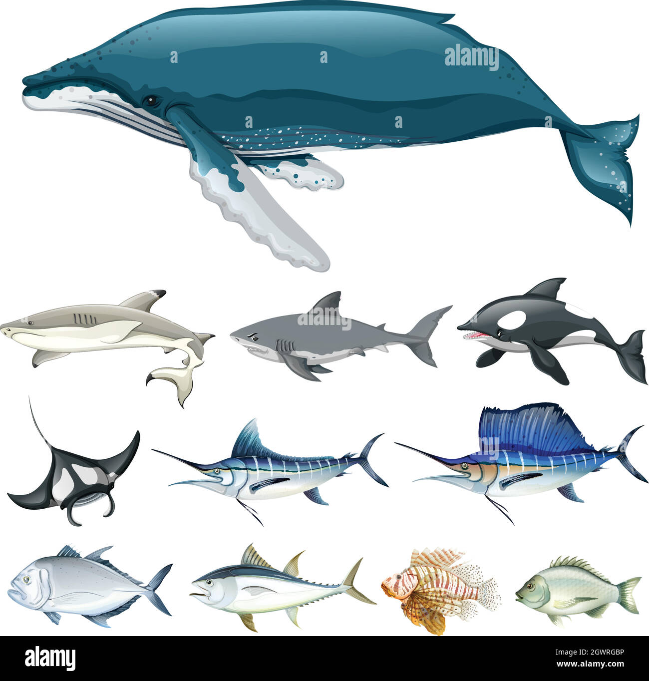 Series fish whale shark white hi-res stock photography and images - Alamy