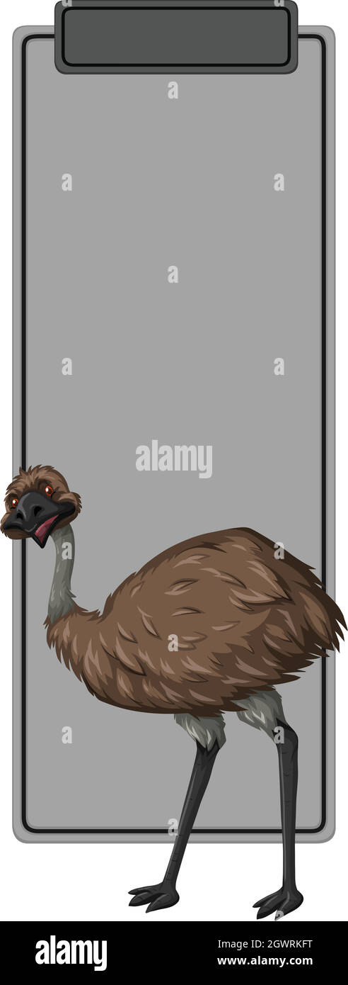 Emu on grey border Stock Vector Image & Art - Alamy