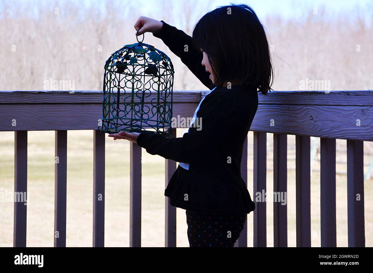 Person Holding Bird Cage High Resolution Stock Photography and Images ...