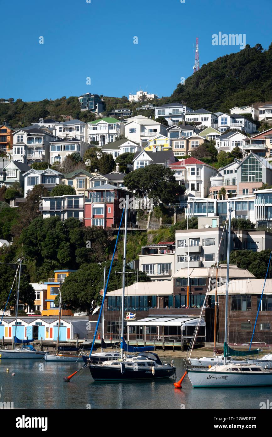 Houses on Mount Victoria, Wellington, North Island, New Zealand Stock ...
