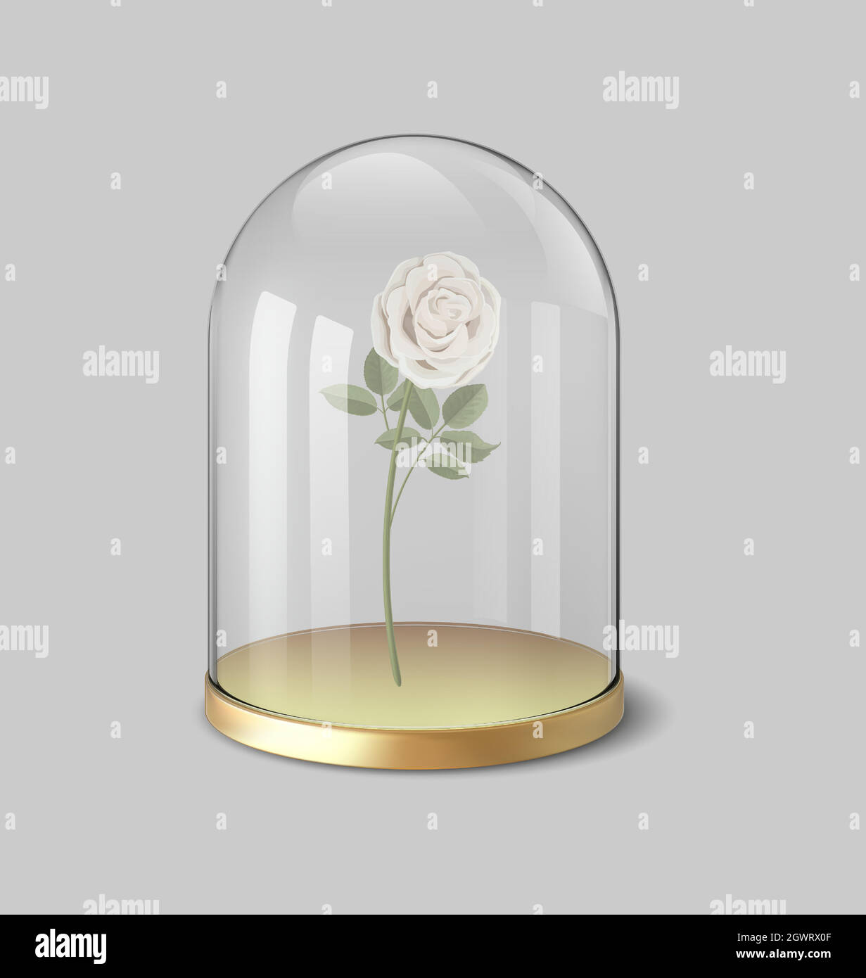 Rose in a flask of glass on the white background. Realistic Vector ...