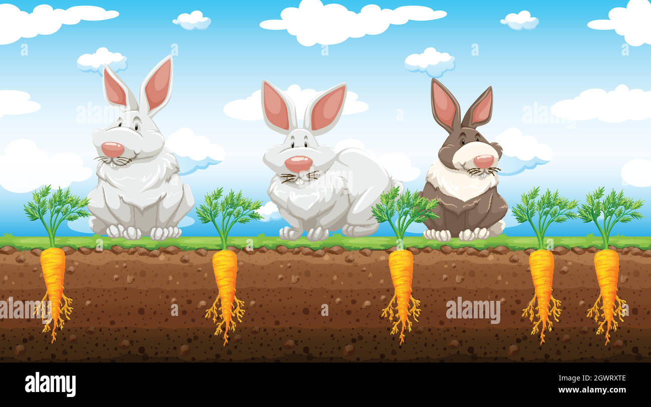 Three rabbits hi-res stock photography and images - Alamy