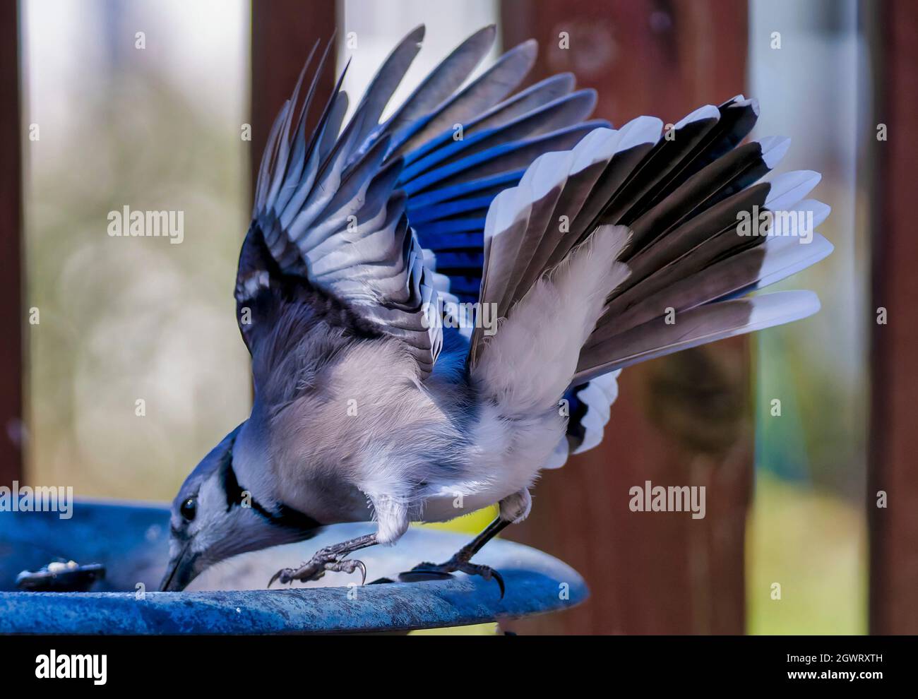 Floating peanut hi-res stock photography and images - Alamy