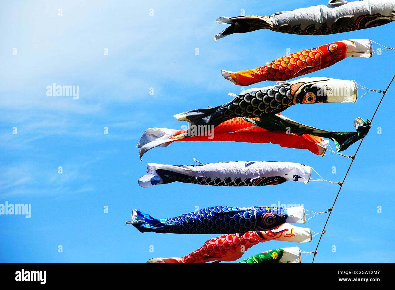 Koi Fish Streamer High Resolution Stock Photography and Images - Alamy