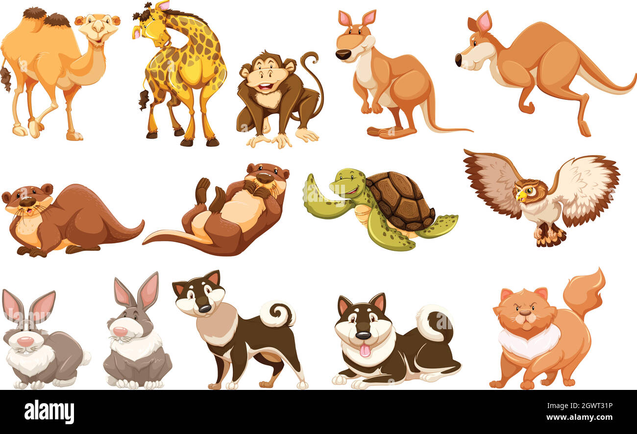 Set of different types of animals Stock Vector Image & Art - Alamy