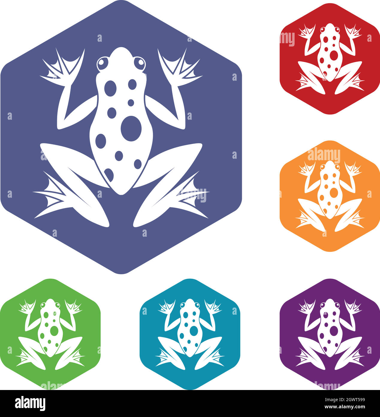 Frog eye membrane Stock Vector Images - Alamy