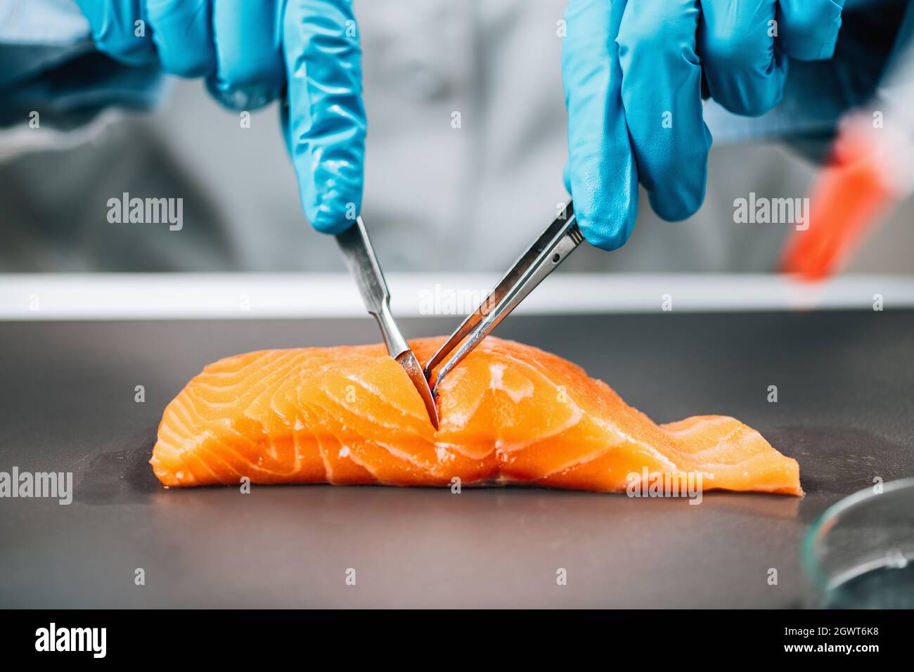 Marine microbiologist hi-res stock photography and images - Alamy