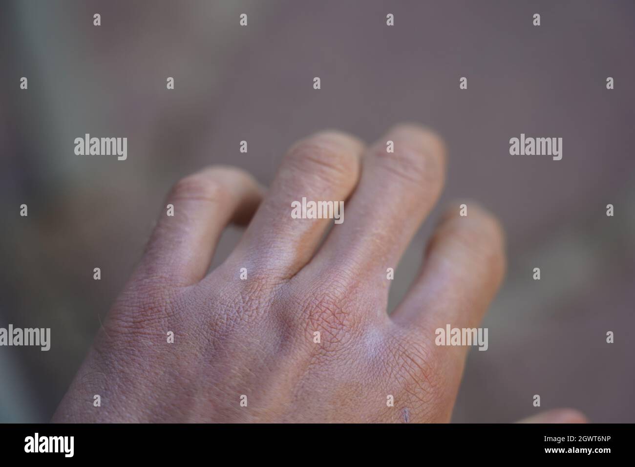 Adult human hand hi-res stock photography and images - Alamy