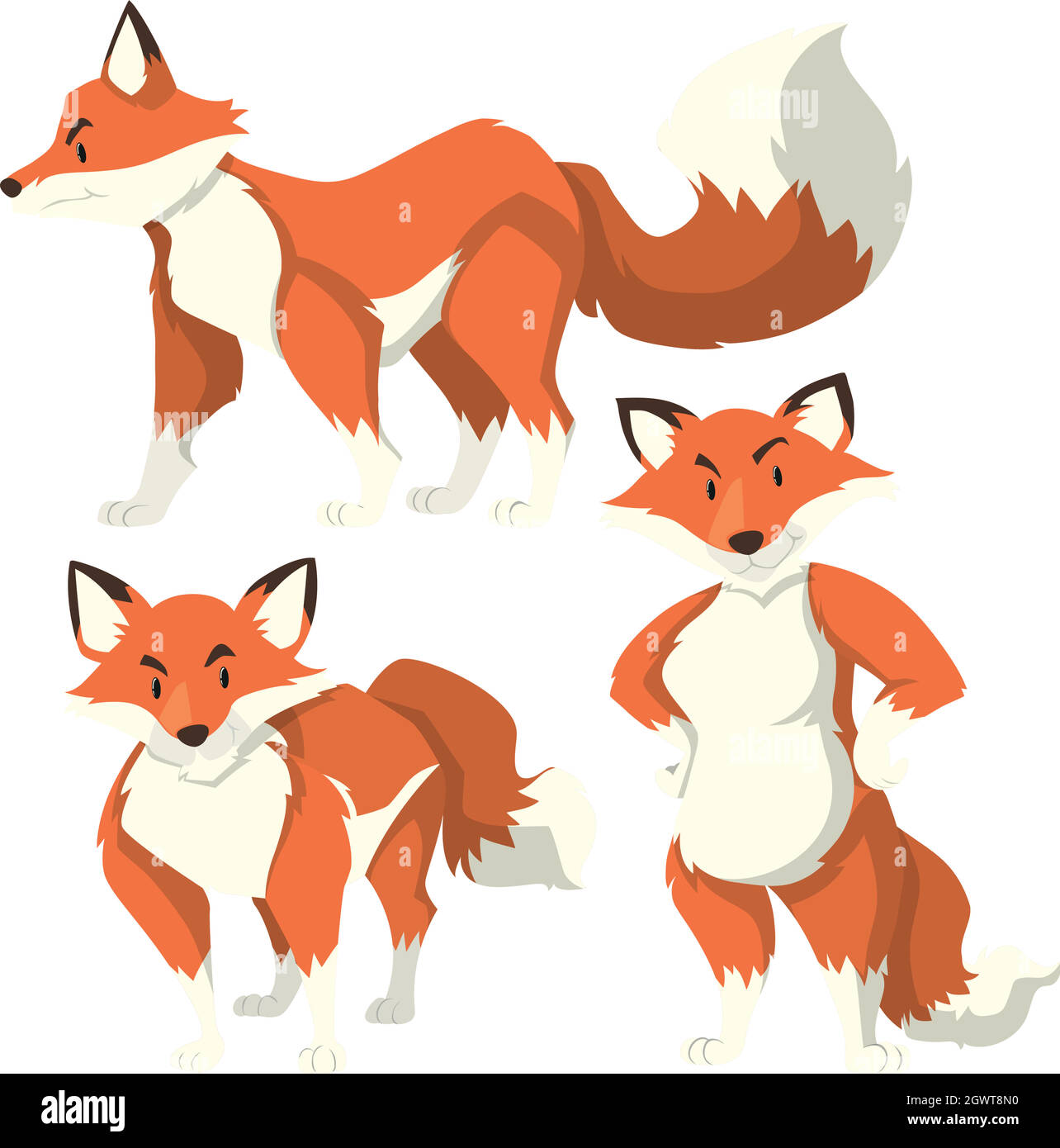 Three different actions of red fox Stock Vector Image & Art - Alamy