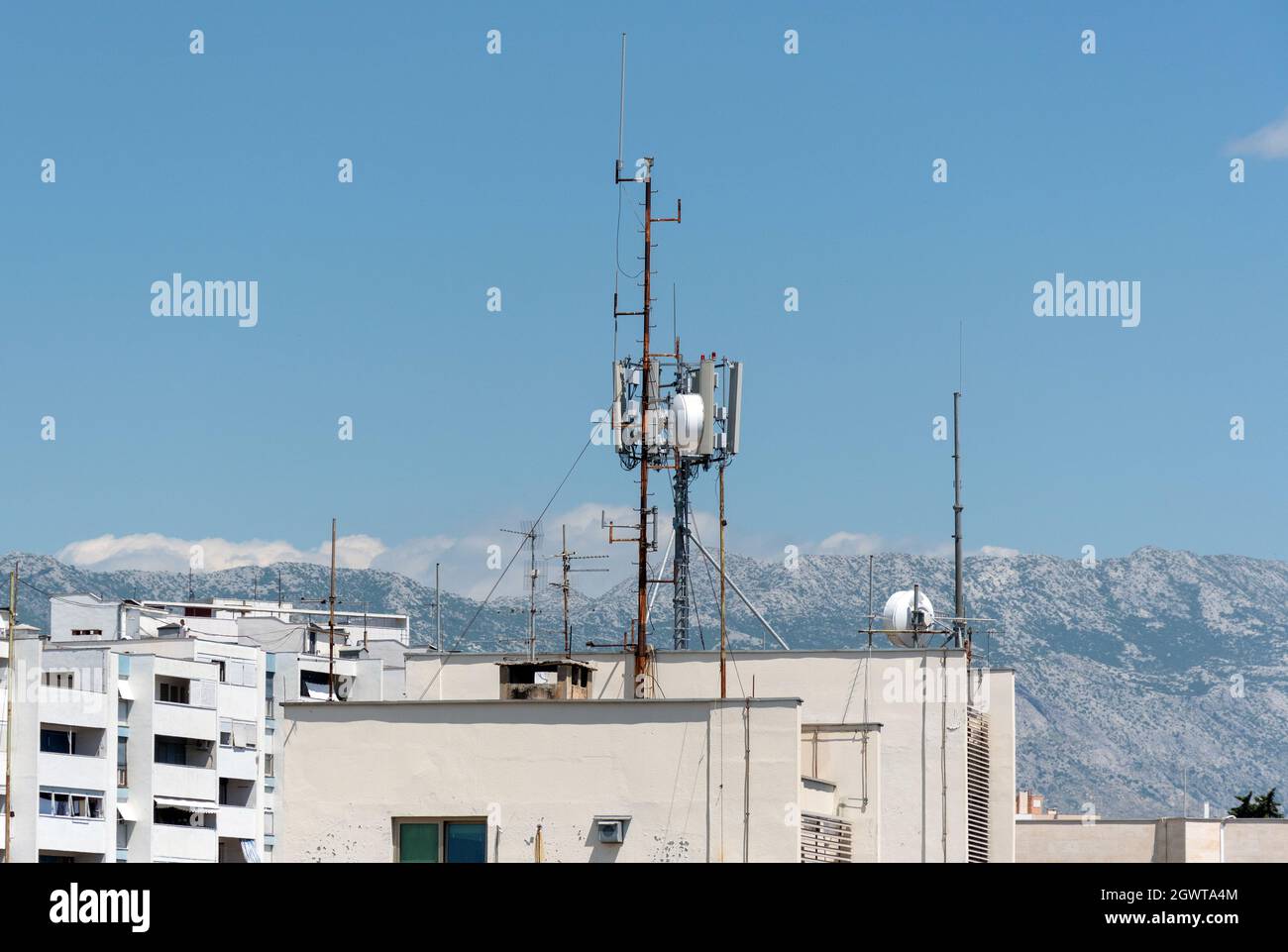 Cell cluster hi-res stock photography and images - Alamy